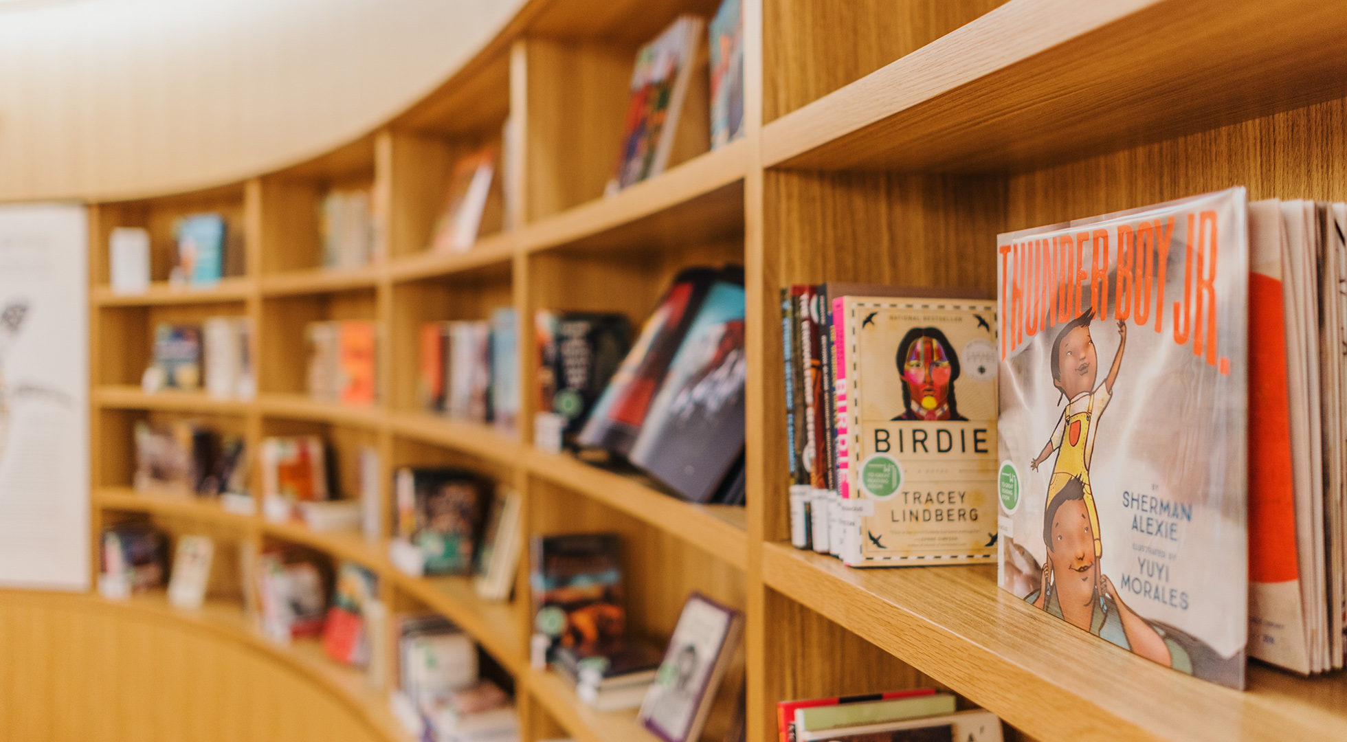 Library Services plan and budget