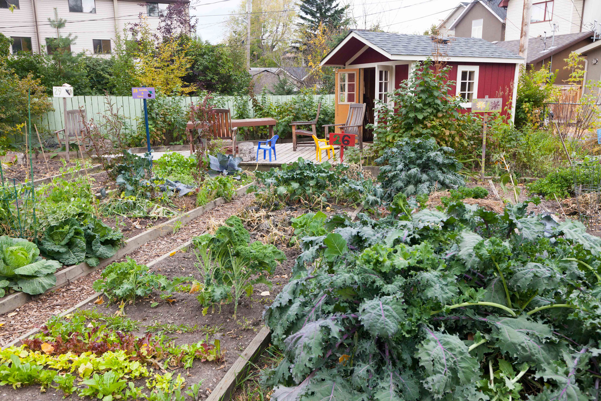 Calgary Food Action Plan