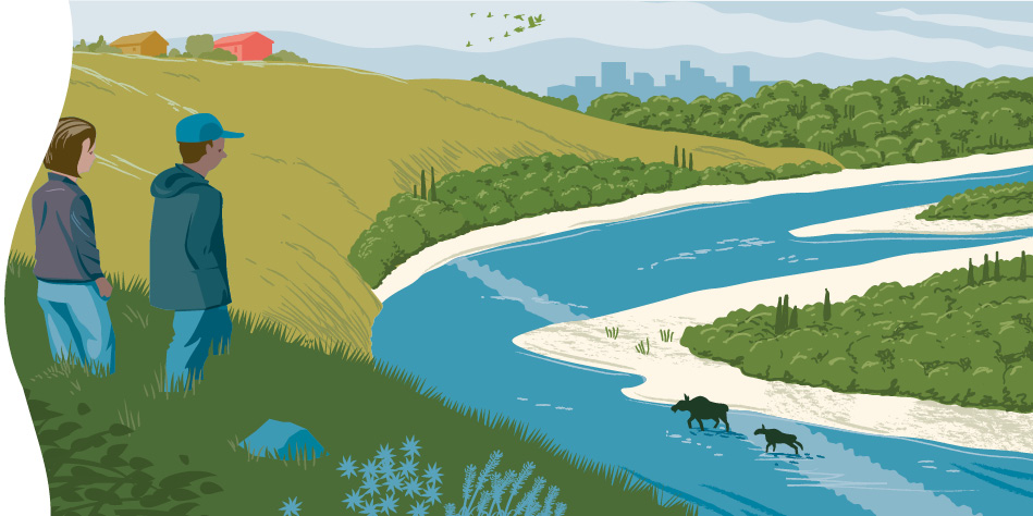 Focus areas - Nature & Ecology