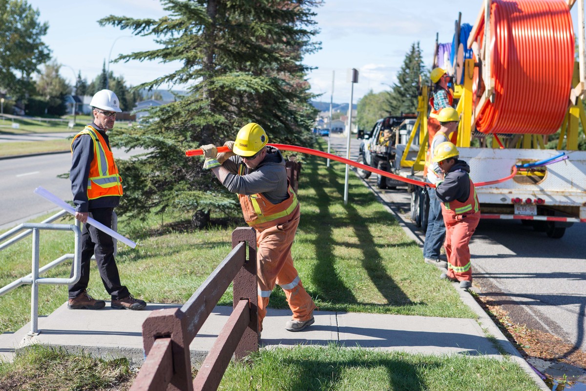 Labour Market Review