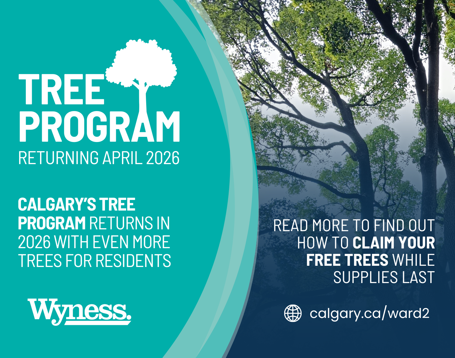 "Branching Out" returns in 2026 with more trees for Calgary