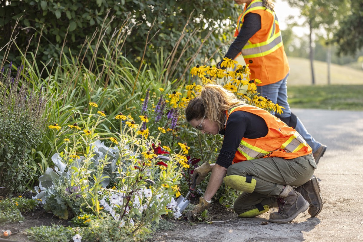 Parks maintenance and operations