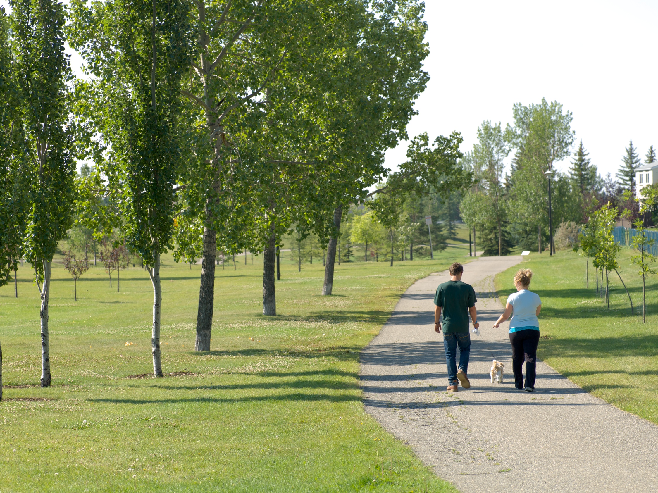 18 Street S.E. pathway project