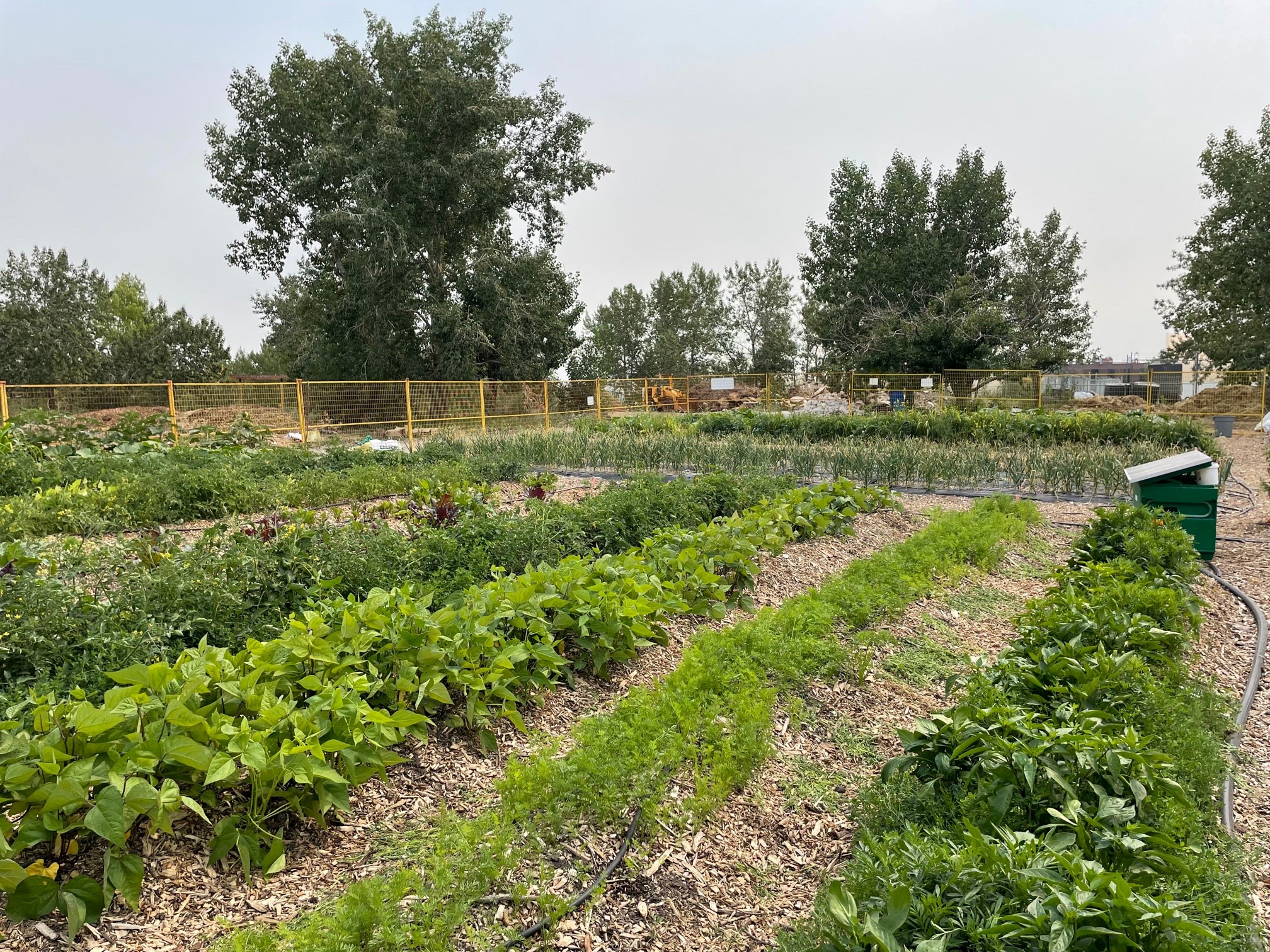 Open a food production business