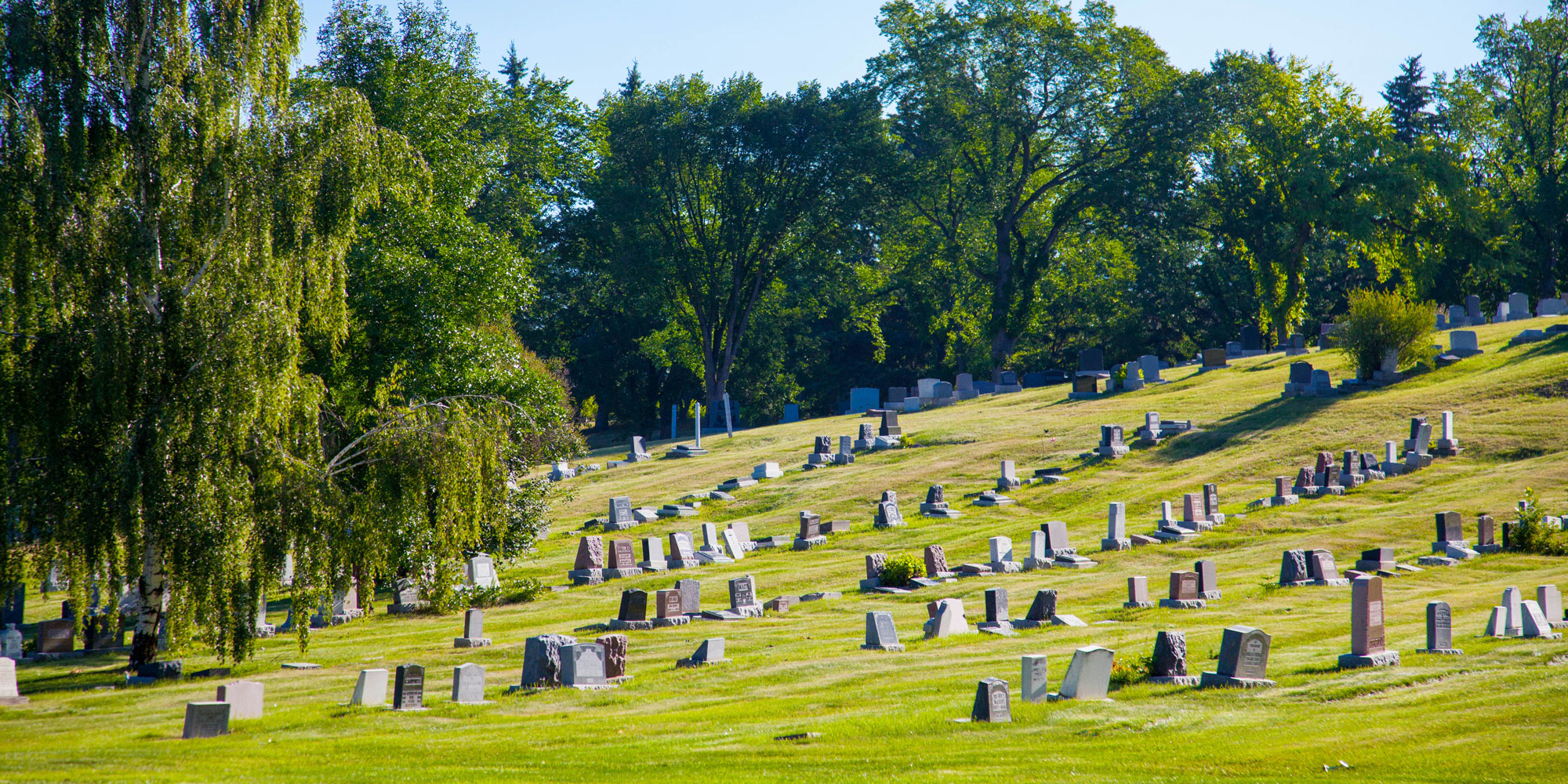 Cemetery tours