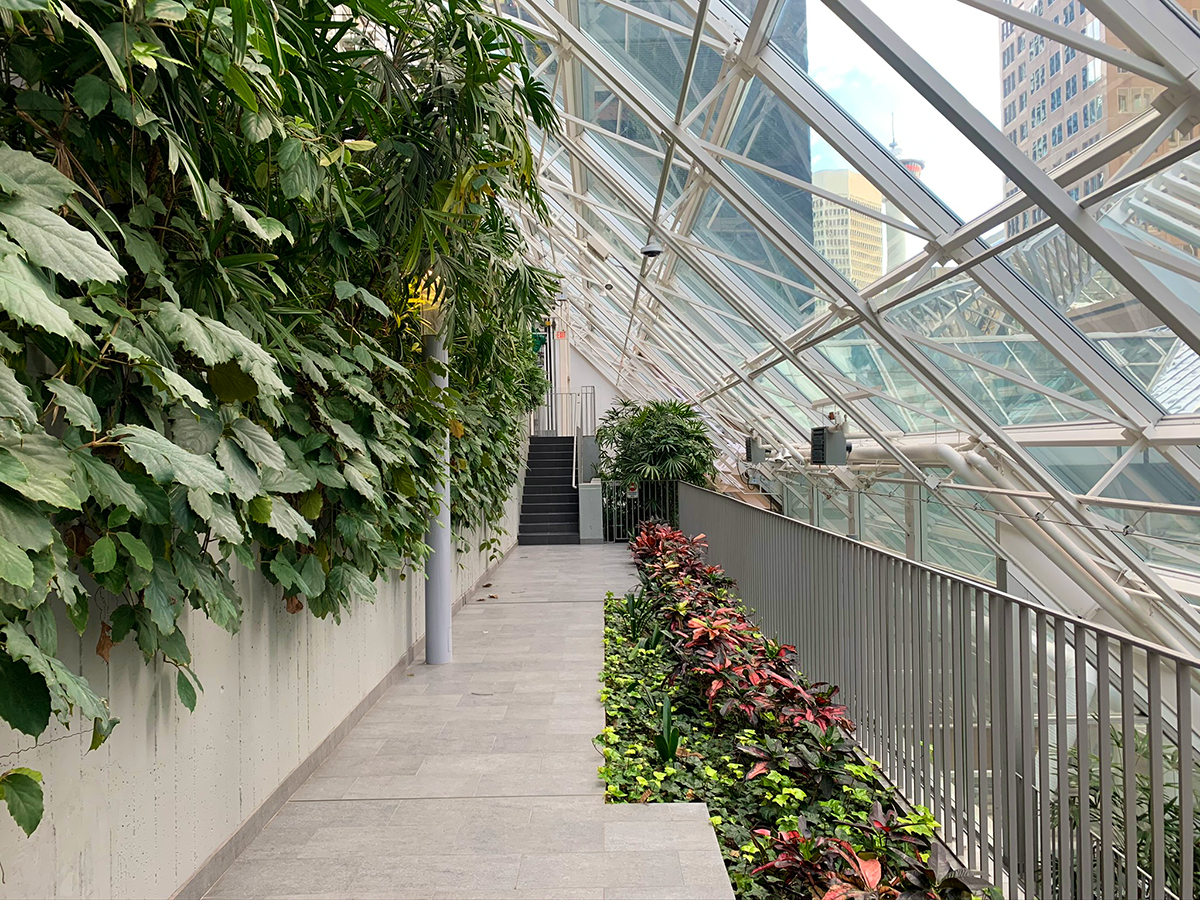Gallery - Devonian Gardens
