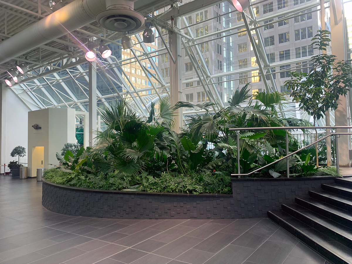 Whole Terrace - Devonian Gardens