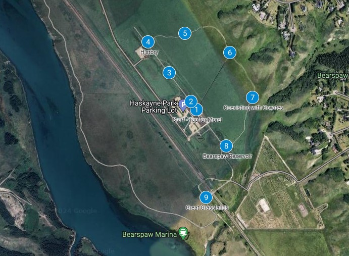 Haskayne Legacy Park self-guided walk