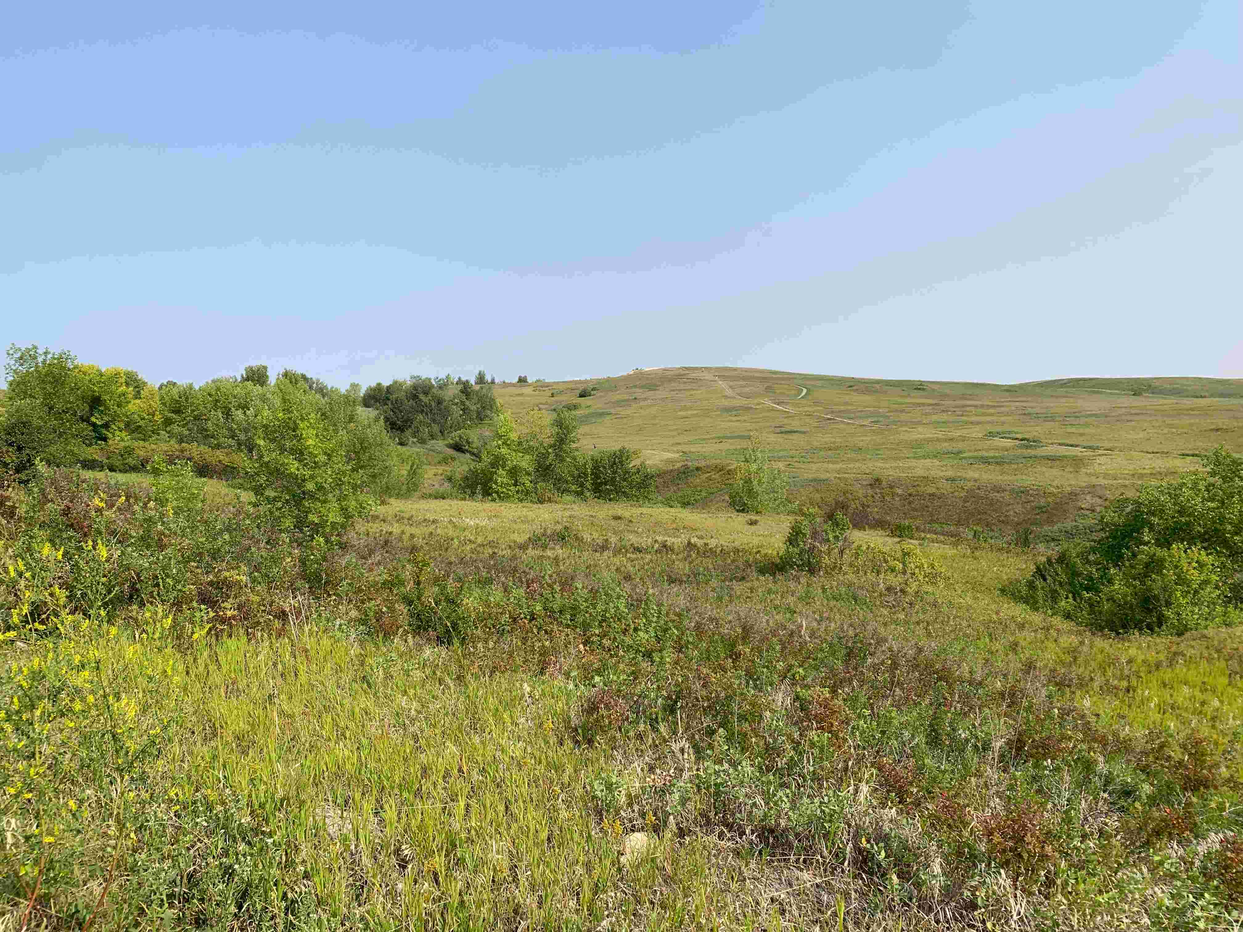 Nose Hill Park