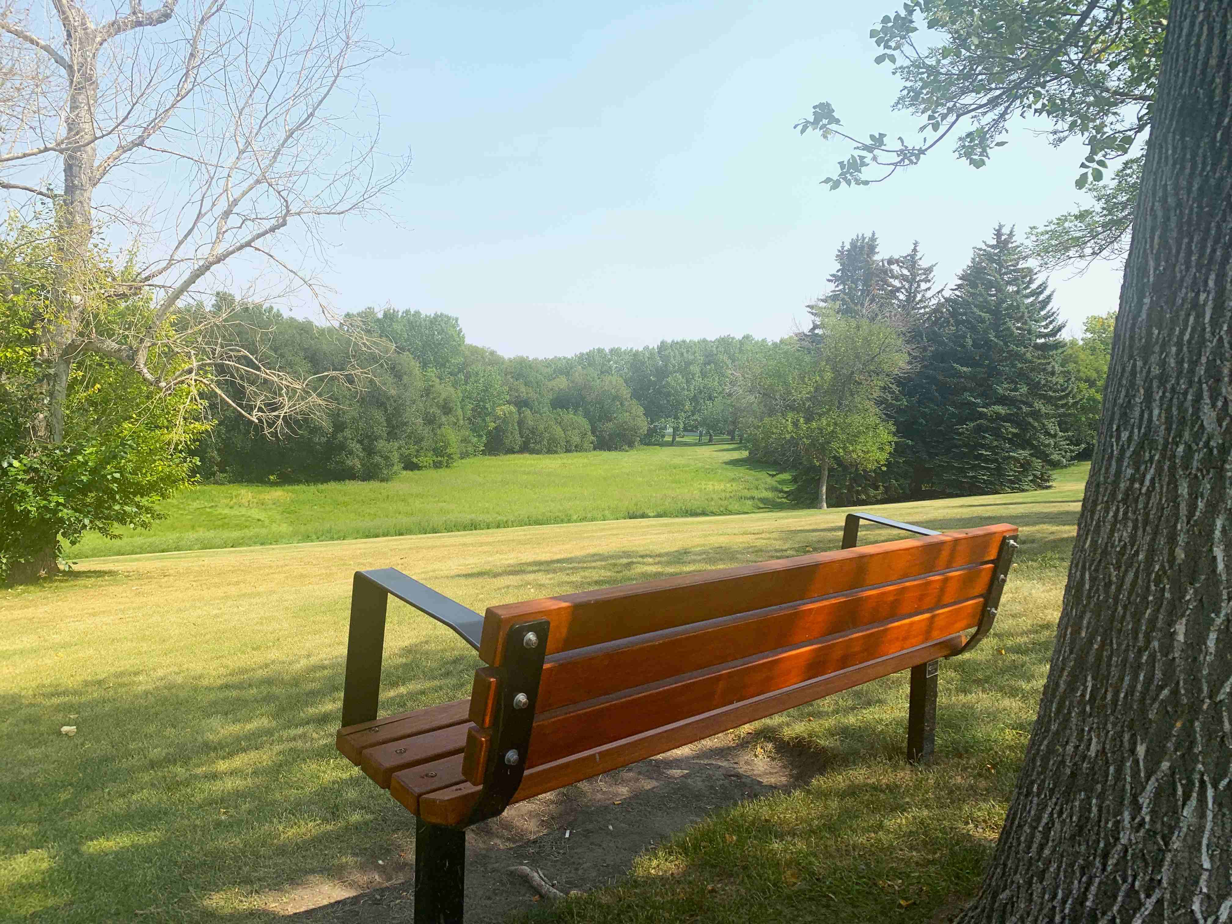 West Confederation Park