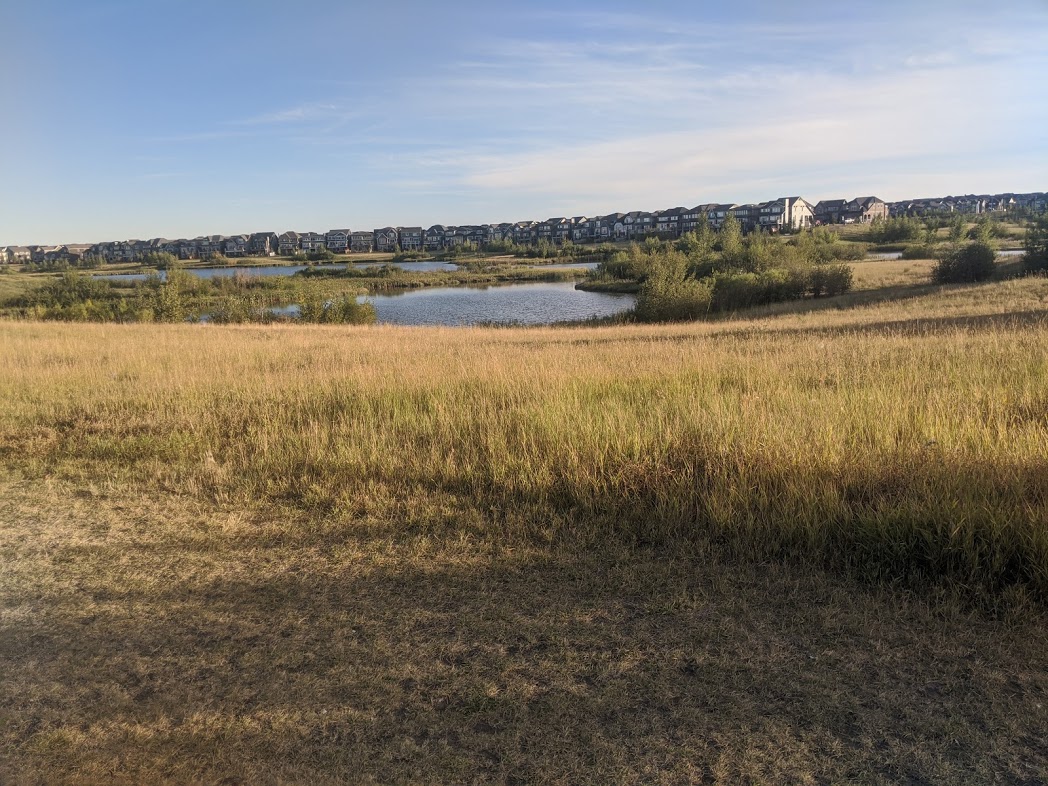 Mahogany Wetlands self guided walk
