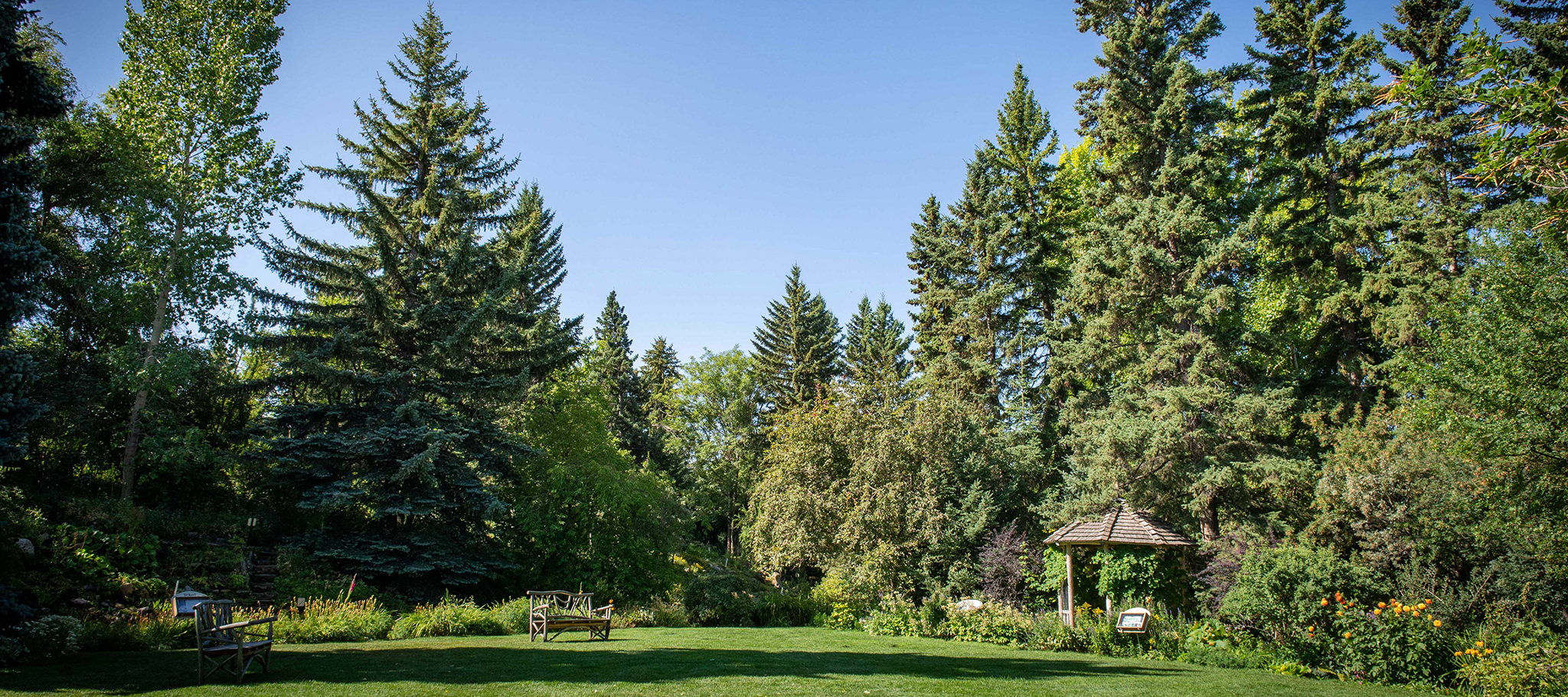 Main Lawn - Reader Rock Garden