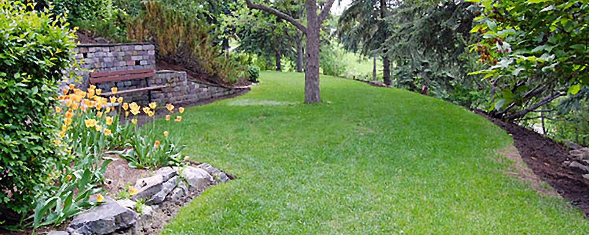 What is an Indoor Rock Garden Called: Discover the Secret - Garden