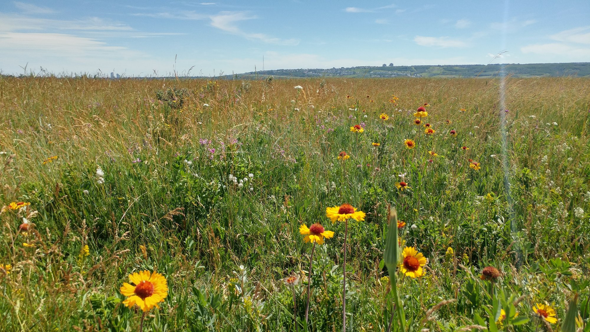 Area Structure Plans