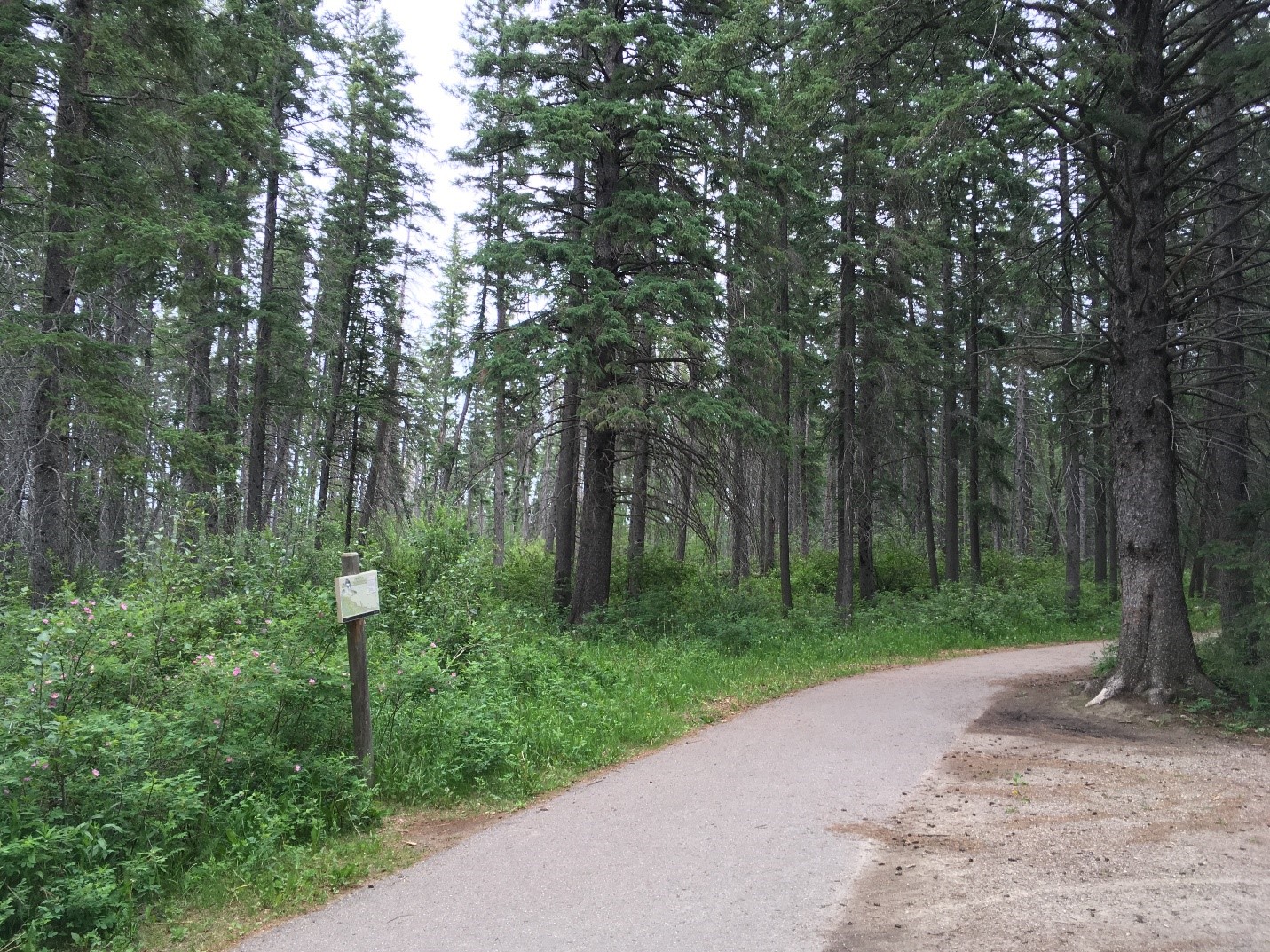 Griffith Woods self-guided walk