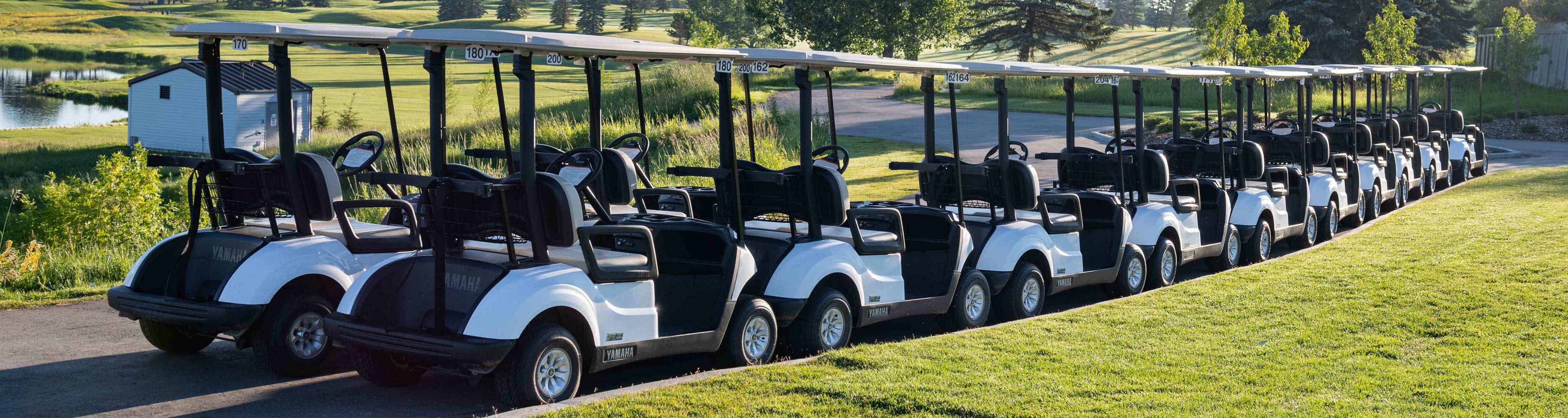 Club and cart rentals