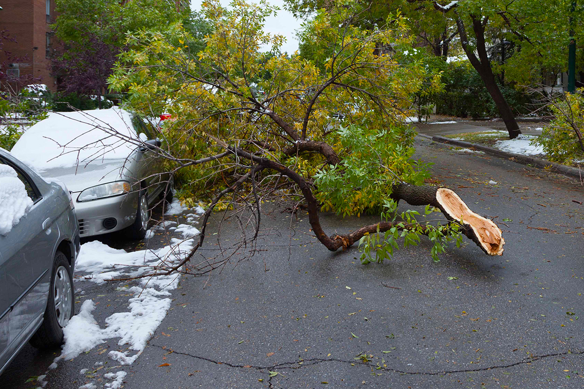 Explore Calgary’s disaster risks