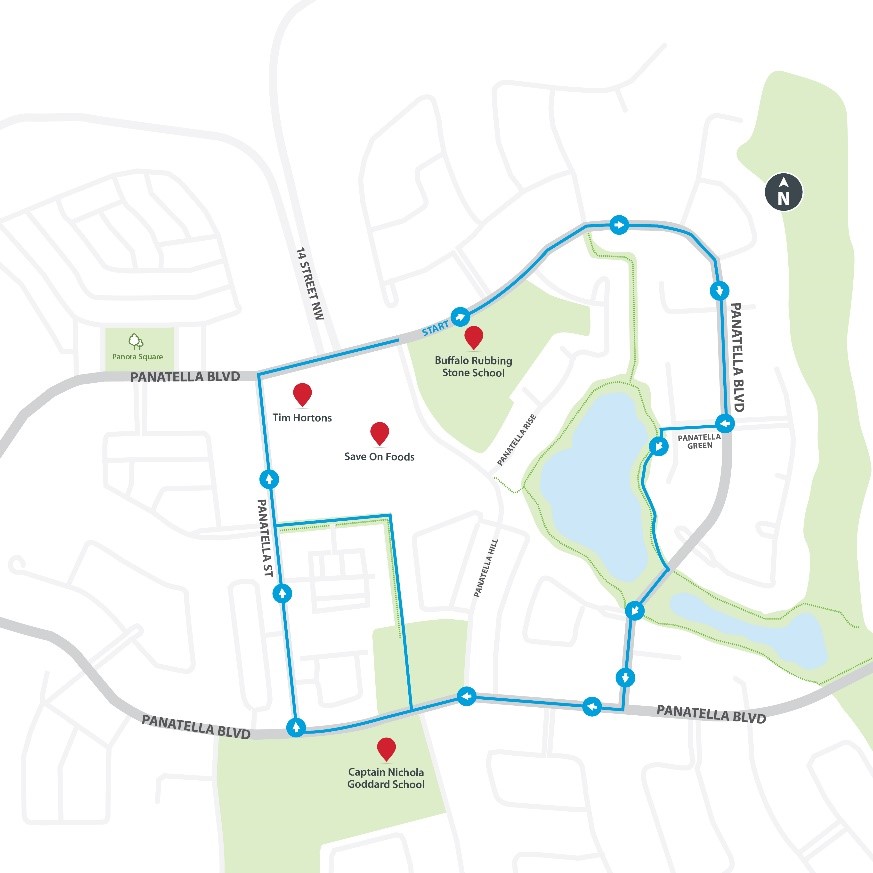 Neighbourhood Streets - Panorama Hills