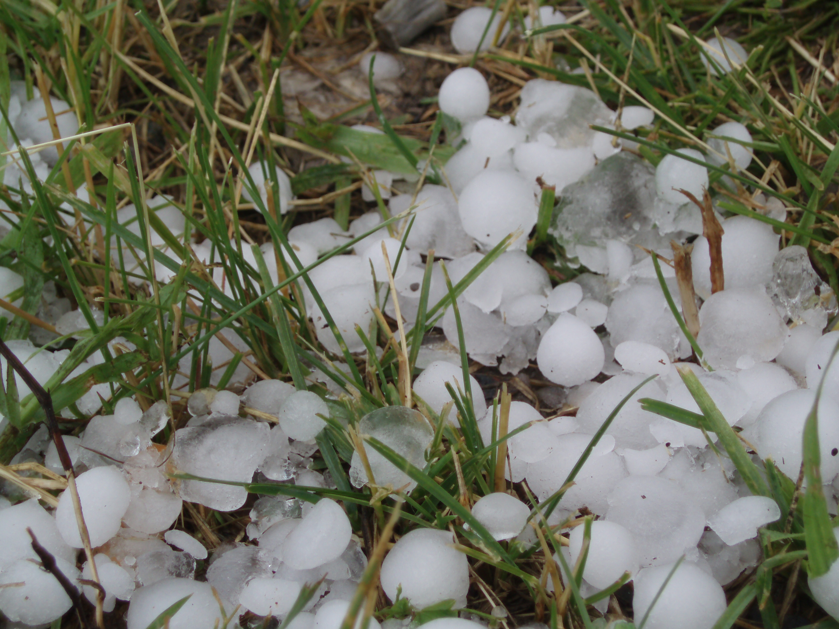 Climate hazards: Hail and high wind