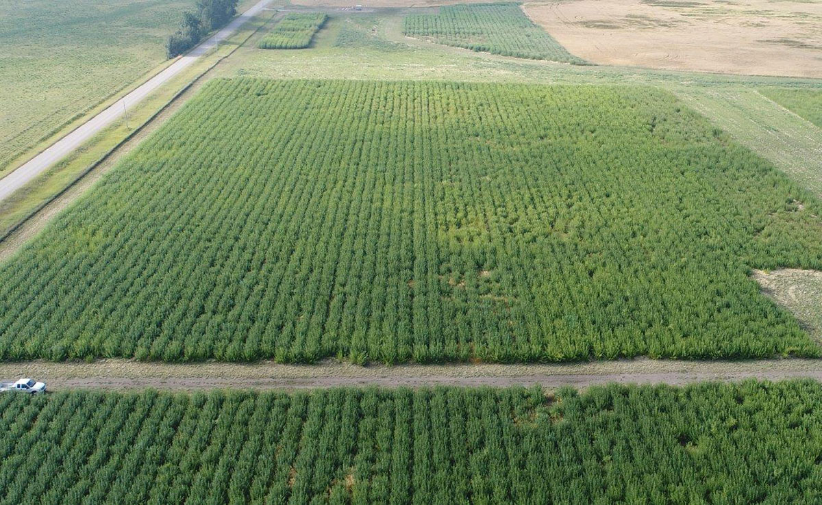Biosolids demonstration Projects