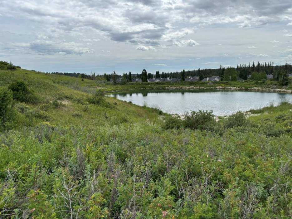 Discovery Ridge Dam safety