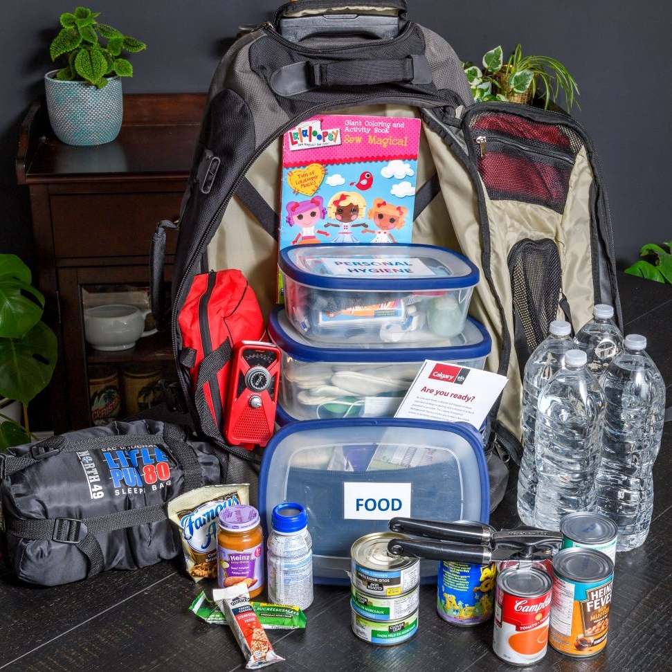 Build an emergency kit